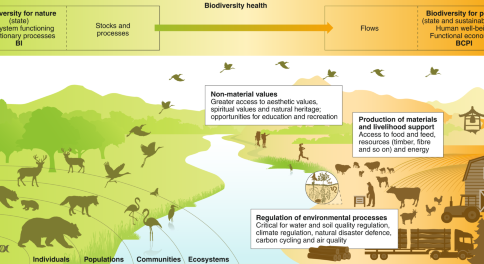 Nature Sustainability