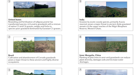 Nature Reviews Earth & Environment