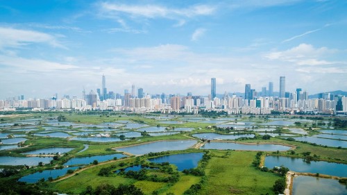 Land use change impacts on ecosystem services