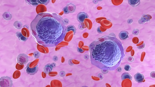 Myeloid cell function and dysfunction