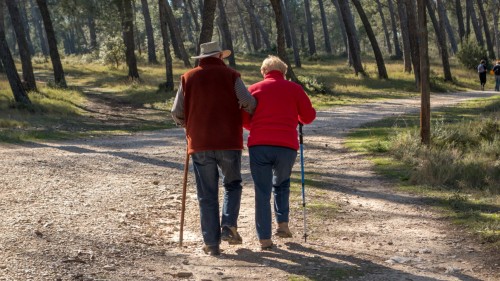 Anti-aging effects of physical activity