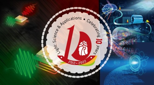 10th Anniversary of LSA: Collection on Special Optics