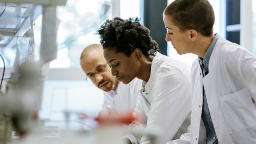 Diversity and scientific careers