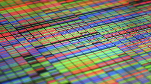 Single-cell omics – techniques and applications