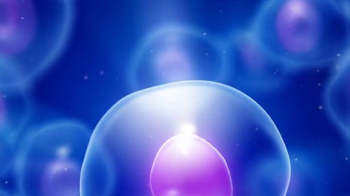 Editor's choice: new cell lines