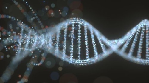 2020 Top 50 Life and Biological Sciences Articles