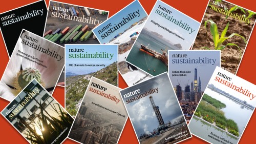 Nature Sustainability's 2nd Anniversary