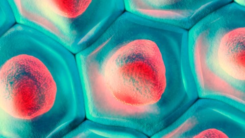 Top 100 in Cell and Molecular Biology