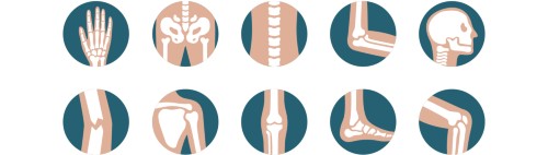 Special Feature: Healthy Bone Homeostasis