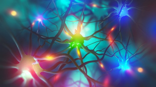 Hypothalamic circuits governing feeding and other motivated behaviors