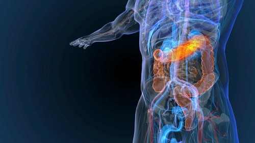 Connection between the gut microbiota and colorectal cancer