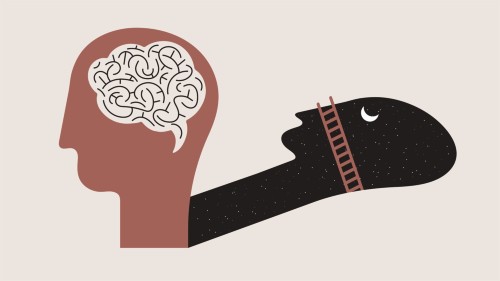 Sleep Regulation: Lessons from the Two-Process Model