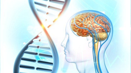 Neuroimaging and genetic approaches to improve dementia diagnosis and ...