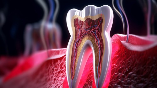 Endodontic diagnosis and treatment