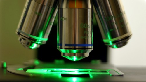 Expansion microscopy