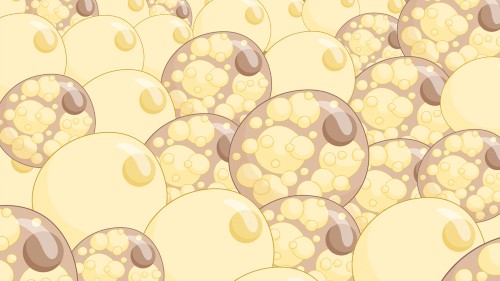 Physiology and pathophysiology of adipose tissue