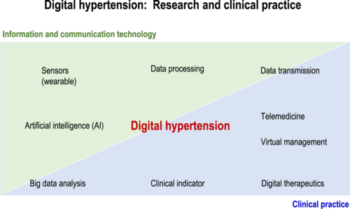 Digital Hypertension