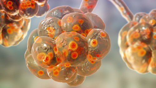 Organoid models for infectious diseases