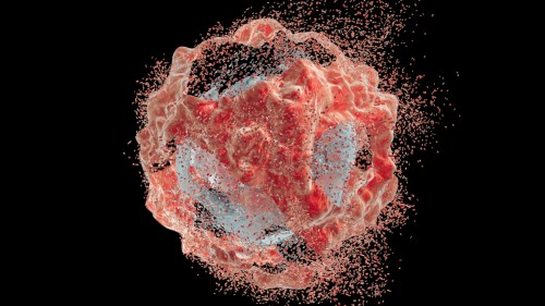 Cell death and inflammatory signalling