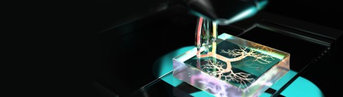 Microphysiological systems