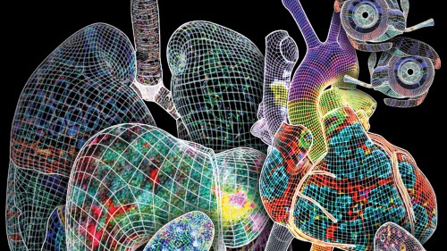 Human BioMolecular Atlas Program