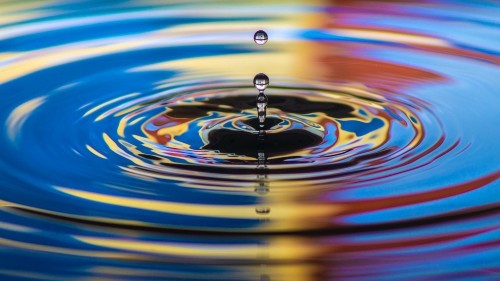 BDJ Open Big Impact Collection