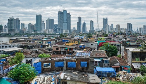 Urban inequalities and sustainability