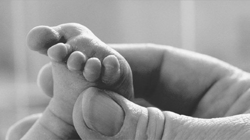 Interdisciplinary Guidelines and Recommendations for NICU Discharge ...