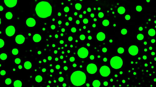 Liquid liquid phase separation