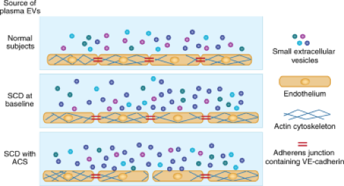 Mechanistic Pathways