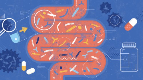 Microbiome-based therapeutics