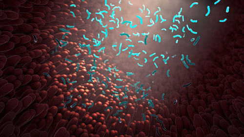 Emerging microbial-based therapeutic solutions