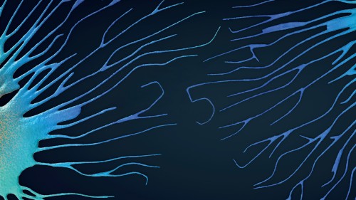 Celebrating 25 years of cell biology