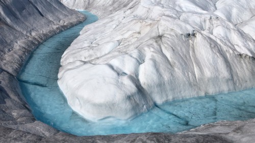 The cryosphere