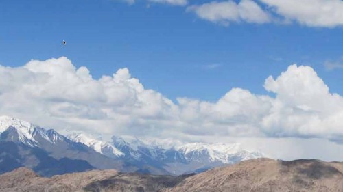 Nature India Annual Volume 2020