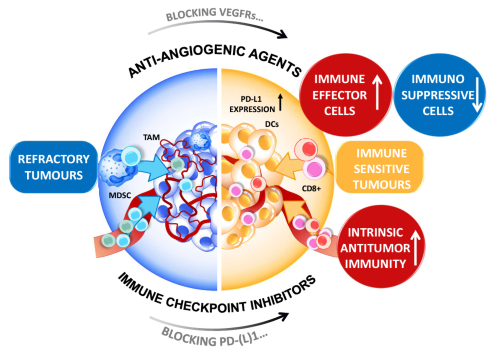 Advances in immune checkpoint inhibitors use in cancer treatment