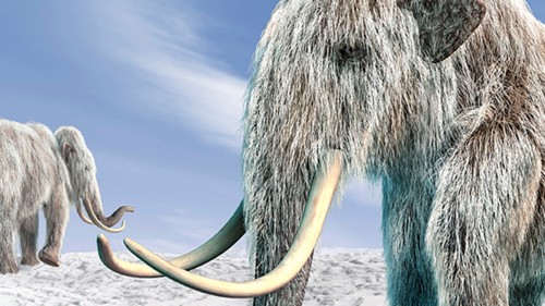 Editor's choice: palaeoclimate