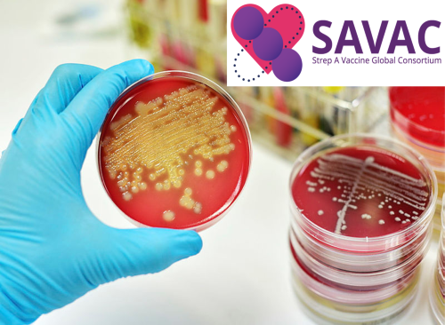 Special Collection: Streptococcus A vaccines