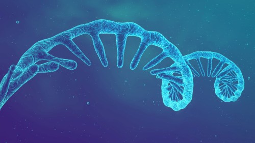 Single cell RNA sequencing