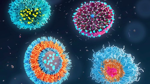 Self-Assembled Soft Matter