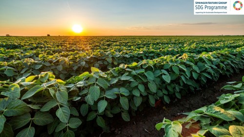 Food security in sustainable food production – Green Reporter