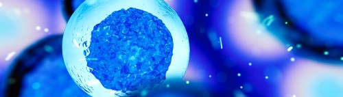 [Special Feature] Single Cell Genomics