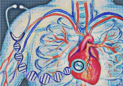 Focus on vascular surgery