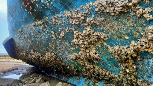 Marine biofouling impacts and mitigation
