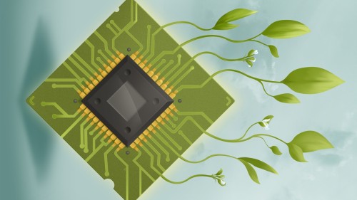 Lifecycle of sustainable electronics