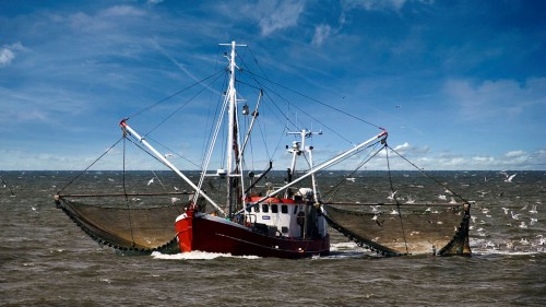 Understanding the Social-Ecological Impacts of Distant Water Fishing Fleets