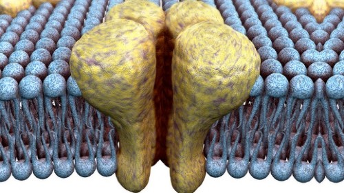 Channelopathies: molecular and genetic mechanisms