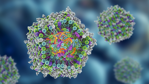 Lipid nanoparticle (LNP)-adjuvanted vaccines