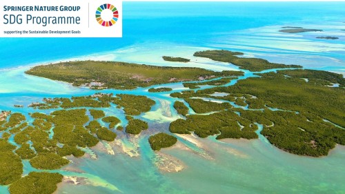 Sustainable development of Small Island Developing States