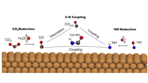 Heterogeneous Photo- and Electrochemical C-N coupling of Inorganic ...